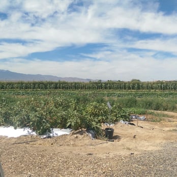 Gilcrease Orchard - 623 Photos & 166 Reviews - Fruits & Veggies - 7810 ...