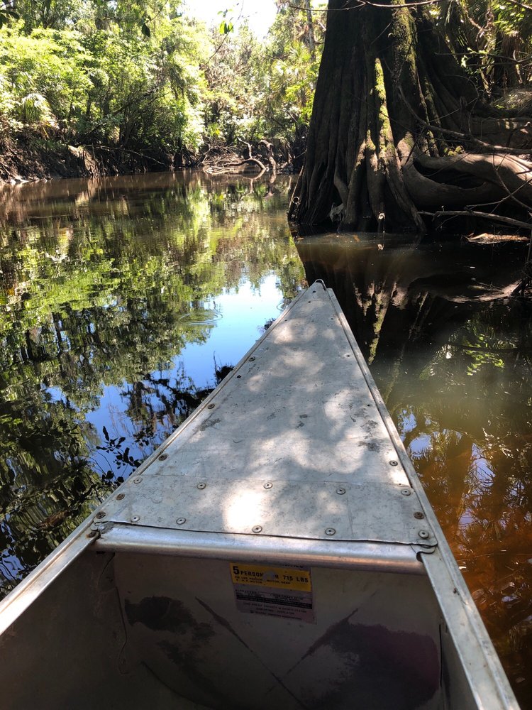 Alafia River Canoe Rentals, Valrico | Roadtrippers