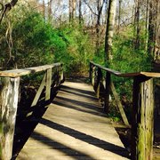 Big Trees Forest Preserve - 99 Photos & 32 Reviews - Parks - 7645 ...