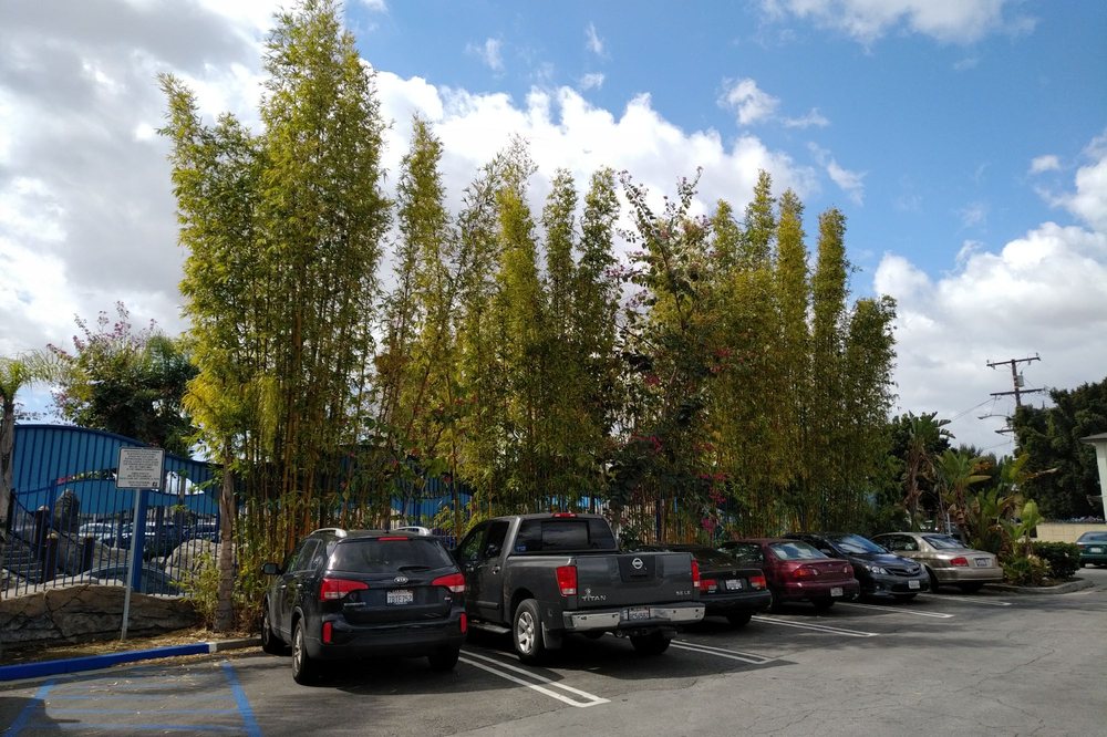 Pirate Park - 94 Photos & 37 Reviews - Playgrounds - 16559 Bellflower ...