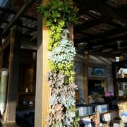 Isaac Farms - 131 Photos & 15 Reviews - Nurseries & Gardening - 18800 ...