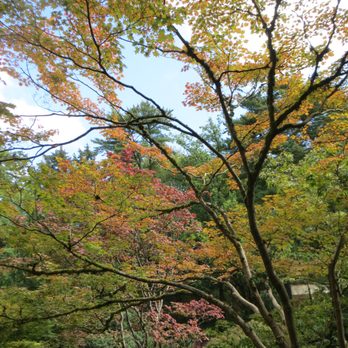 Washington Park Arboretum - 421 Photos & 170 Reviews - Parks - 2300 ...