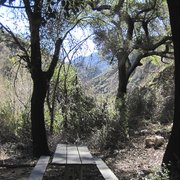 Trail Canyon Falls - 70 Photos & 24 Reviews - Hiking - Trail Canyon ...