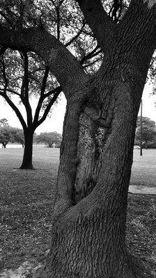 Groves, TX Map & Directions - MapQuest