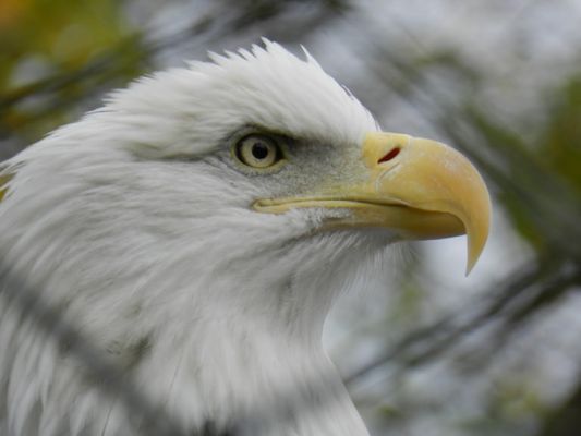 Colona, IL Map & Directions - MapQuest