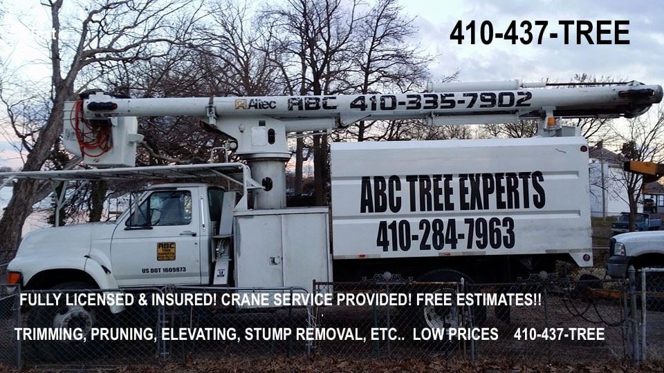 ABC Tree Removal Experts - Tree Services - 3724 White Pine Rd, Middle ...