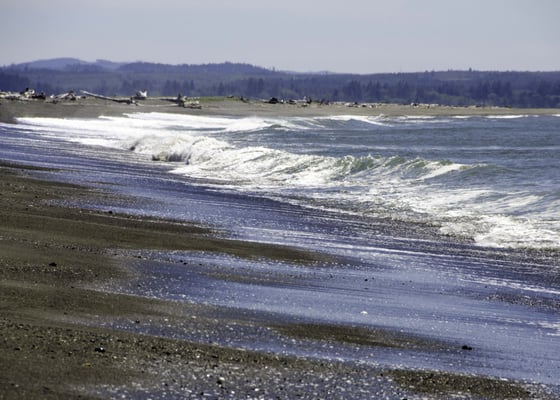 Damon Point State Park Ocean Shores, WA Parks - MapQuest