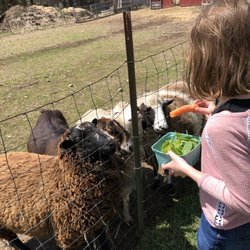 Ingaldsby Farms - 24 Photos & 12 Reviews - Farmers Market - 14 ...