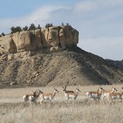 Monster Lake Ranch - Horseback Riding - 62 Nielson Rd, Cody, WY - Phone ...