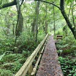 Camp Mars - 15 Photos & 16 Reviews - Campgrounds - 326 Goff Rd, Venus ...