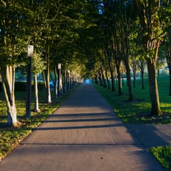 San Ramon Central Park - 103 Photos & 64 Reviews - Parks - 12501 ...