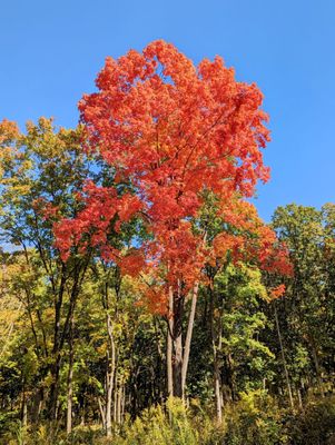 Kildeer, IL Map & Directions - MapQuest