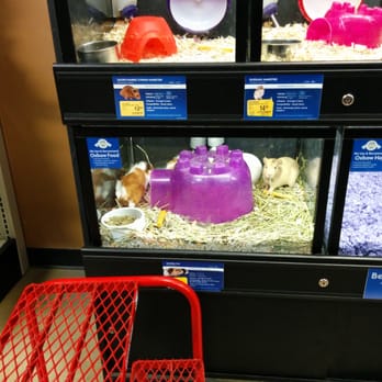 PetSmart - 2019 All You Need to Know BEFORE You Go (with Photos) Pet ...