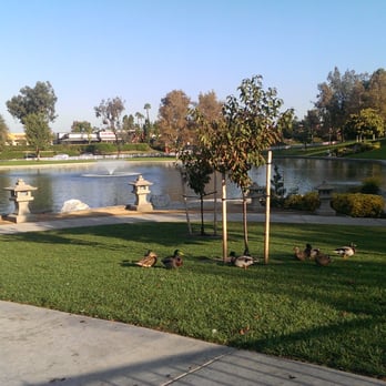 Temecula Duck Pond - 121 Photos & 62 Reviews - Parks - 28250 Rancho ...