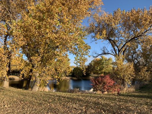 Gibbon, NE Map & Directions - MapQuest