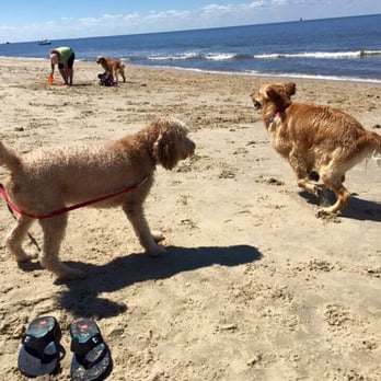 Higbee Beach Wildlife Management Area - County Road 641, Cape May, NJ ...
