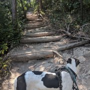 Cedar Ridge Preserve - 370 Photos & 143 Reviews - Hiking - 7171 ...