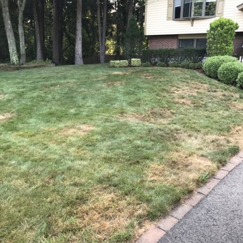 TruGreen Lawn Care - 19 Photos & 28 Reviews - Lawn Services - 16 ...