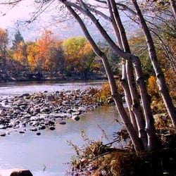 Rivernook Campground - 79 Photos & 89 Reviews - Campgrounds - 14001 ...