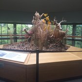 Mississippi Museum of Natural Science - 2019 All You Need to Know ...