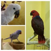 Preuss Pets - 29 Photos & 52 Reviews - Pet Stores - 1127 N Cedar St ...