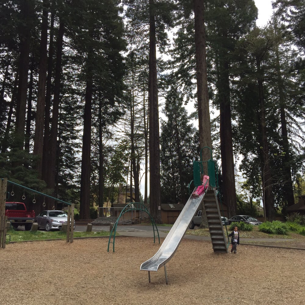 Arcata Community Forest - 15 Photos & 20 Reviews - Parks - Arcata, CA ...