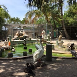 Peace River Wildlife Center - 33 Photos & 15 Reviews - Animal Shelters ...