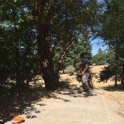 Lakewood Park Disc Golf Course - 12 Photos & 15 Reviews - Parks - SW ...