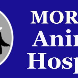 Morgan Animal Hospital - Veterinarians - 1887 Hwy 31 NW, Hartselle, AL ...