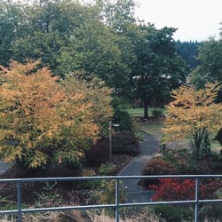 Fircrest Dshs - 15230 15th Ave NE, Shoreline, WA - Phone Number - Last ...