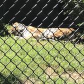 Connecticut’s Beardsley Zoo - 134 Photos & 80 Reviews - Zoos - 1875 ...