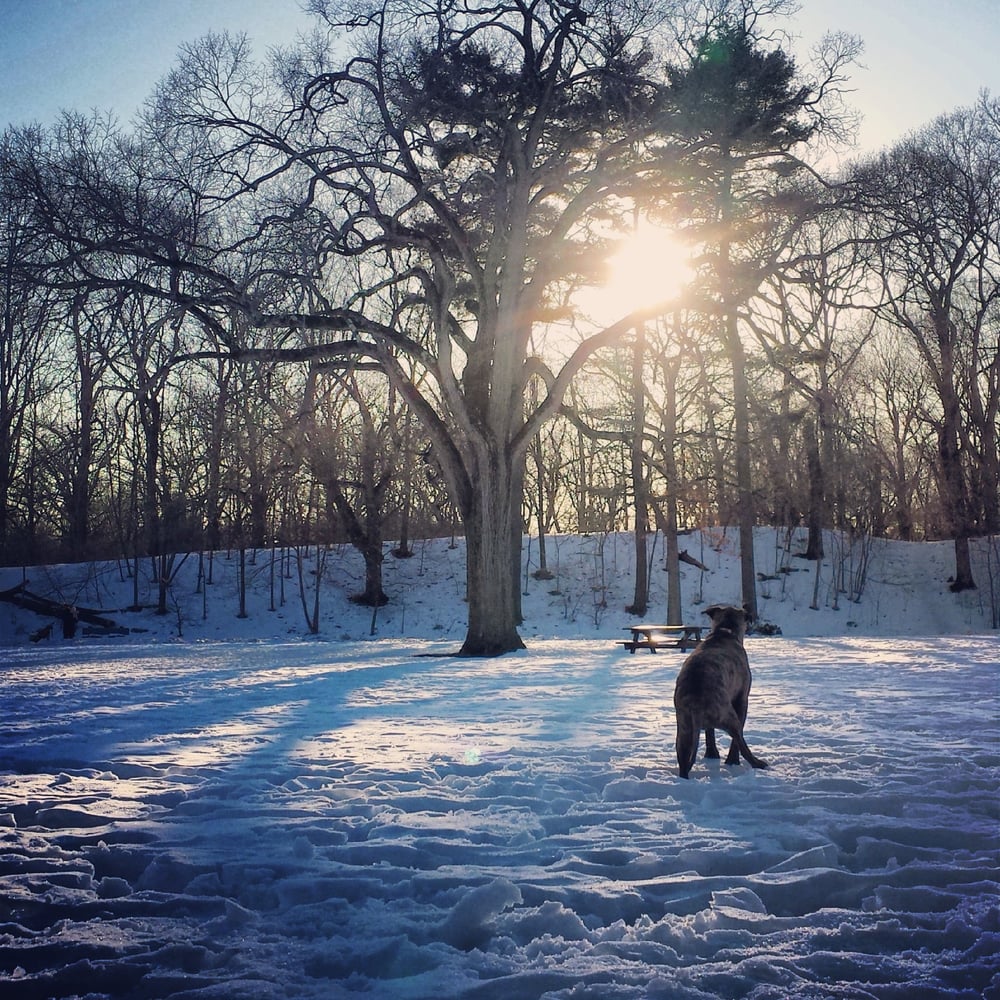 Beaver Brook Reservation - 26 Photos & 41 Reviews - Landmarks ...