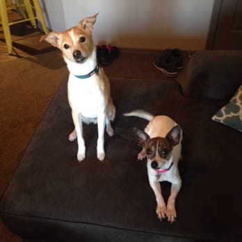 Operation Kindness - 49 Photos & 78 Reviews - Animal Shelters - 3201 ...