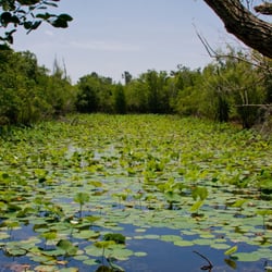 Sheldon Lake State Park and Environmental Learning Center - 168 Photos ...