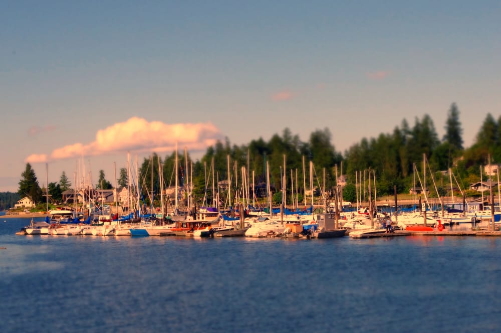 Boston Harbor Marina - 12 Photos & 19 Reviews - Seafood Markets - 312 ...