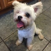 Downey Animal Care Center - 162 Photos & 144 Reviews - Animal Shelters ...