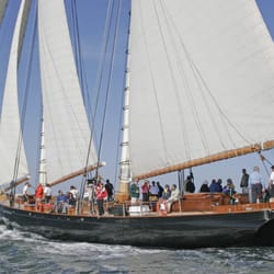 Next Level Sailing - 32 Photos & 31 Reviews - Boat Charters - Little ...