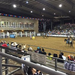 Pasadena Livestock Show & Rodeo - Rodeo - 7601 Red Bluff Rd, Pasadena ...