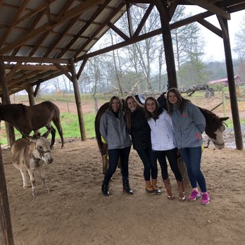 Blue Ridge Mountain Trail Rides - 54 Photos - Horseback Riding - 319 ...
