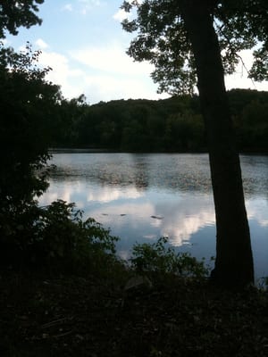 South Elgin, IL Map & Directions - MapQuest