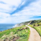 Tomales Point Trail - Tule Elk Preserve - 2019 All You Need to Know ...