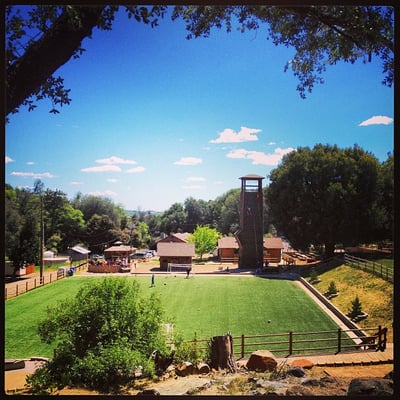 Camp Marston-Raintree YMCA - Event Planning & Services - Julian, CA - Yelp