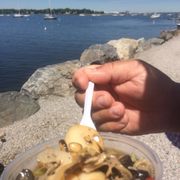 Gardner’s Wharf Seafood - 17 Photos & 22 Reviews - Seafood Markets ...