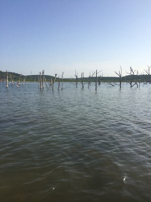 Lake Amon G Carter - Fishing - Farm Market 1125, Bowie, TX - Yelp