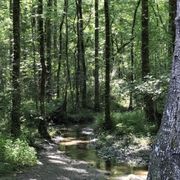 Gods Acre Healing Springs - 20 Photos - Historical Tours - Healing ...