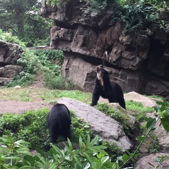 Queens Zoo - 512 Photos & 135 Reviews - Zoos - 5351 111th St, Flushing ...