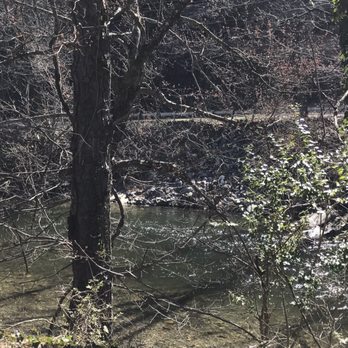 Qualla Java Cafe - 144 Photos & 14 Reviews - Cafes - 938 Tsalagi Rd ...