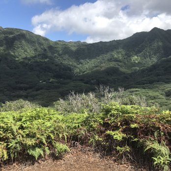 Pu’u Pia Trail - 213 Photos & 43 Reviews - Hiking - 3662 Alani Dr ...