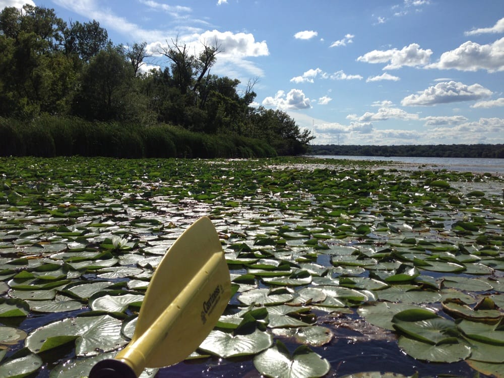 Wingra Boats - 29 Photos - Paddleboarding - Dudgeon-Monroe - Madison ...