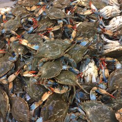 Seafood Market In St Louis Model | Paul Smith